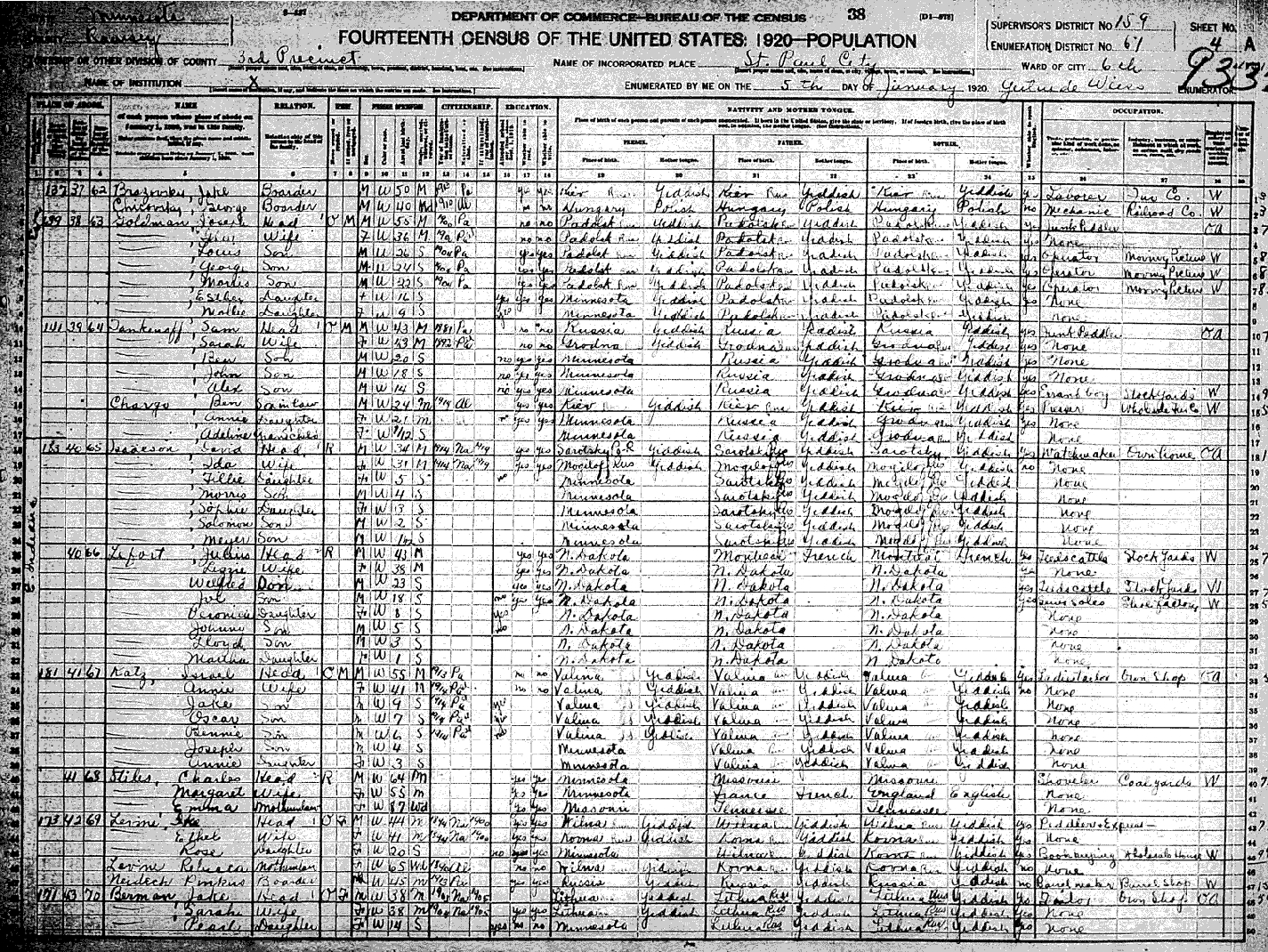 1920 U.S. Census Forms Family History