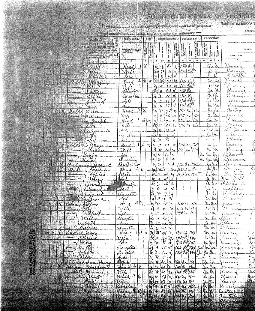1920 U.S. Census Forms Family History