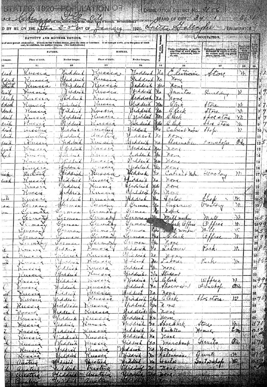 1920 U.S. Census Forms Family History
