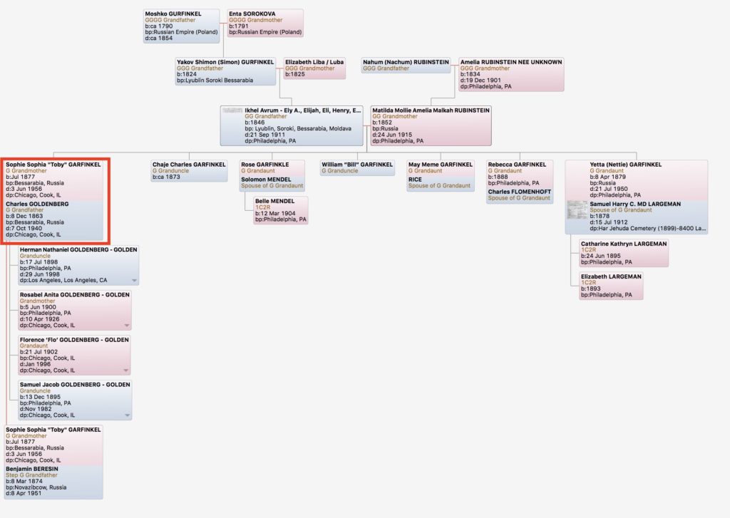 GOLDENBERG / GARFINKEL FAMILY | Melamed Family History