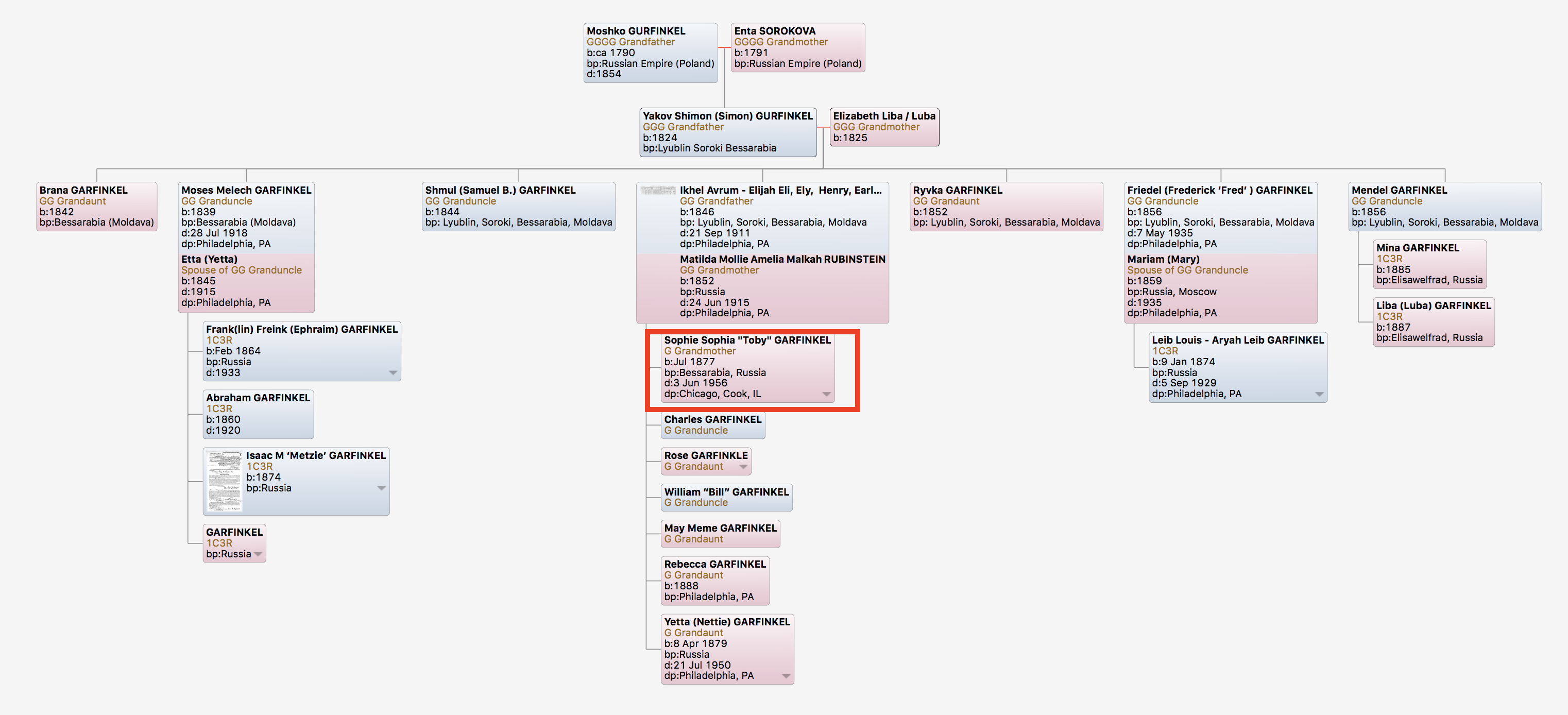 GARFINKEL FAMILY Philadelphia | Melamed Family History