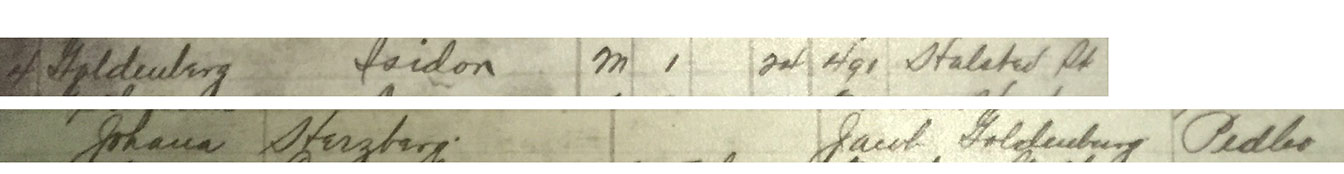 GOLDENBERG / GARFINKEL FAMILY | Melamed Family History