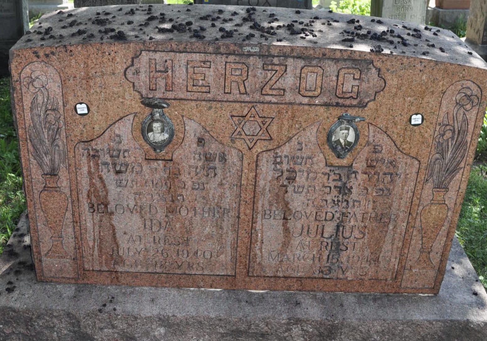 ABRAHAM HERZOG FAMILY | Melamed Family History